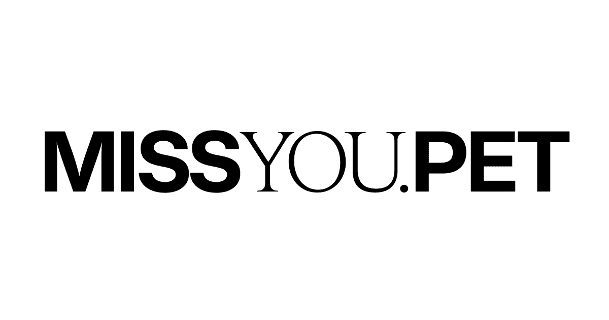 Kreiere deinen Erinnerungspost – missyou.pet